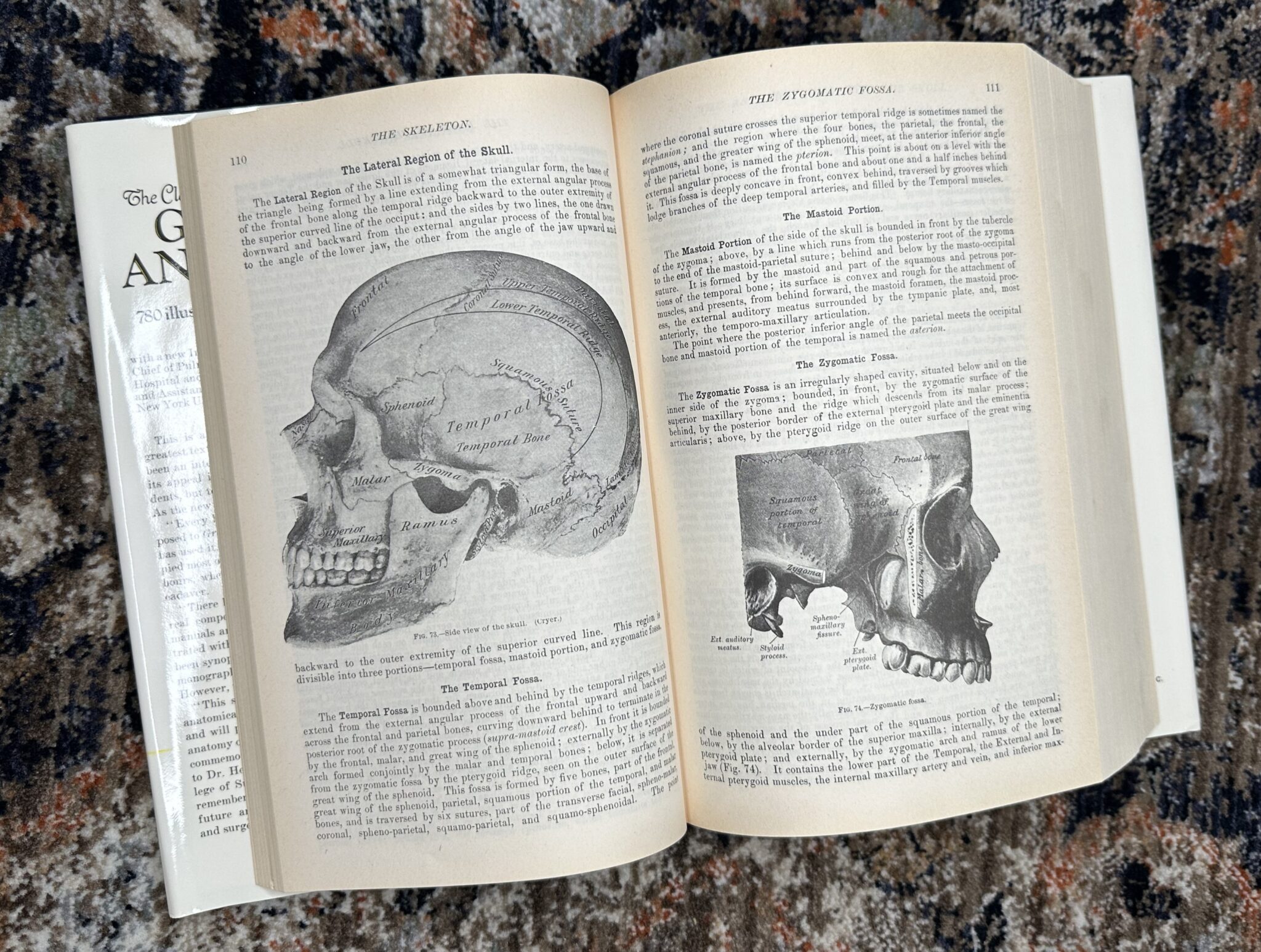 Basquiat Crown Meaning (The Story of the Legendary Artist)