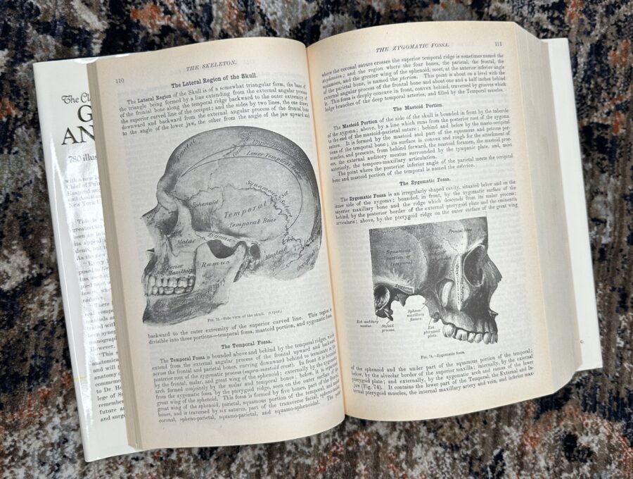 Basquiat Crown Meaning (The Story of the Legendary Artist)